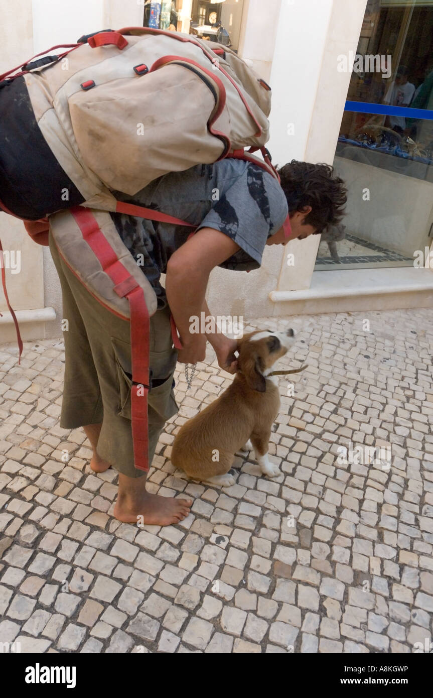 Dog Lagos Algarve Portugal Stock Photo - Alamy