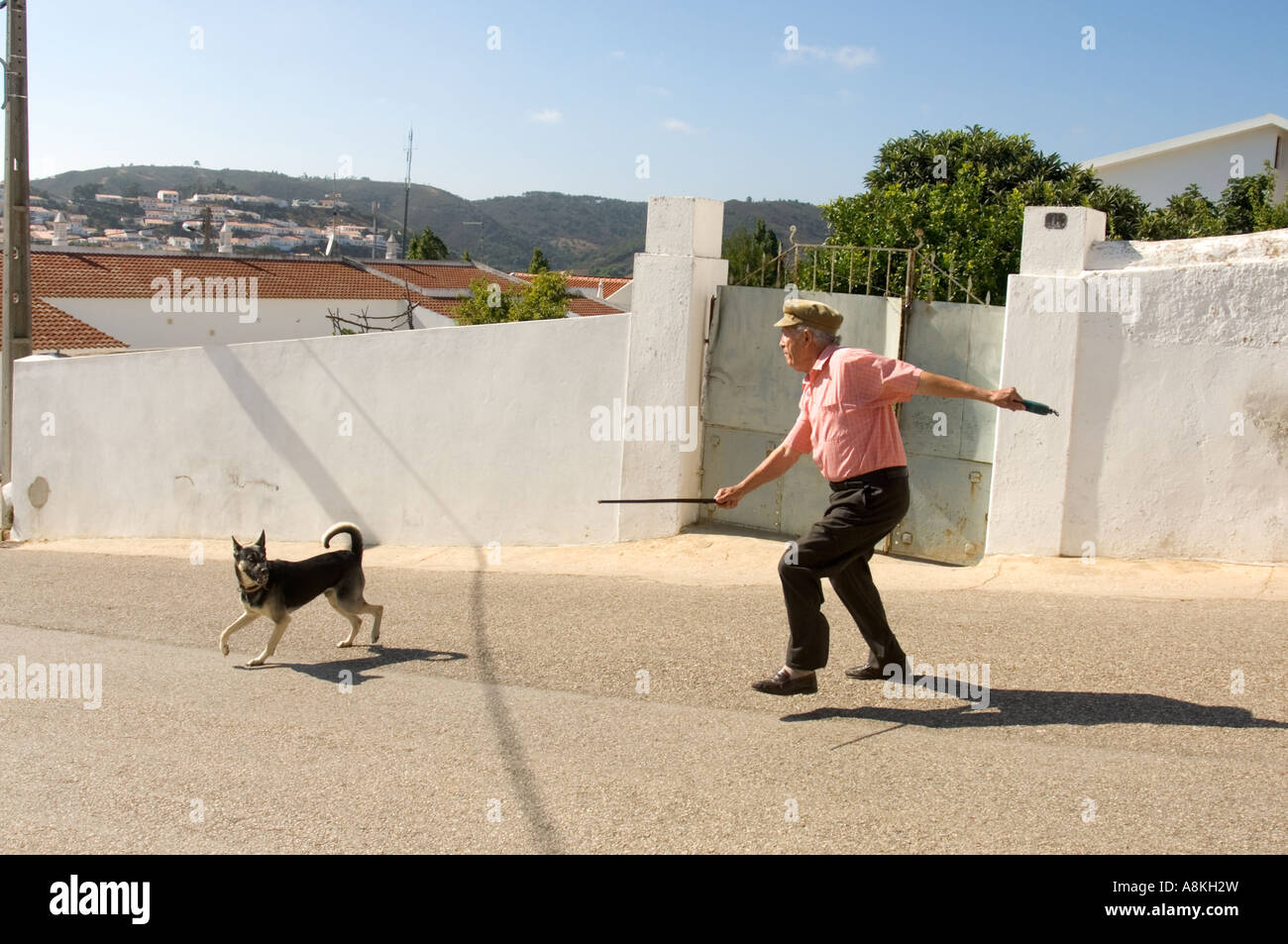 Dog chase man hi-res stock photography and images - Alamy