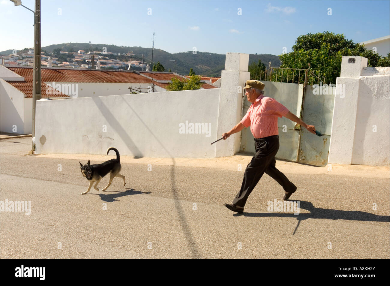 Dog chase man hi-res stock photography and images - Alamy