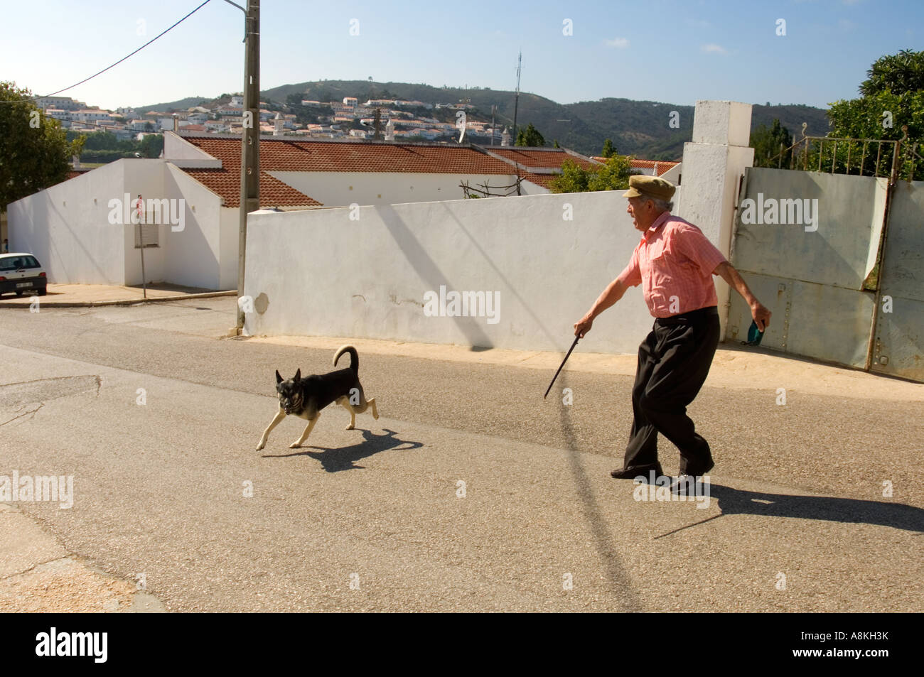 Dog chase man hi-res stock photography and images - Alamy