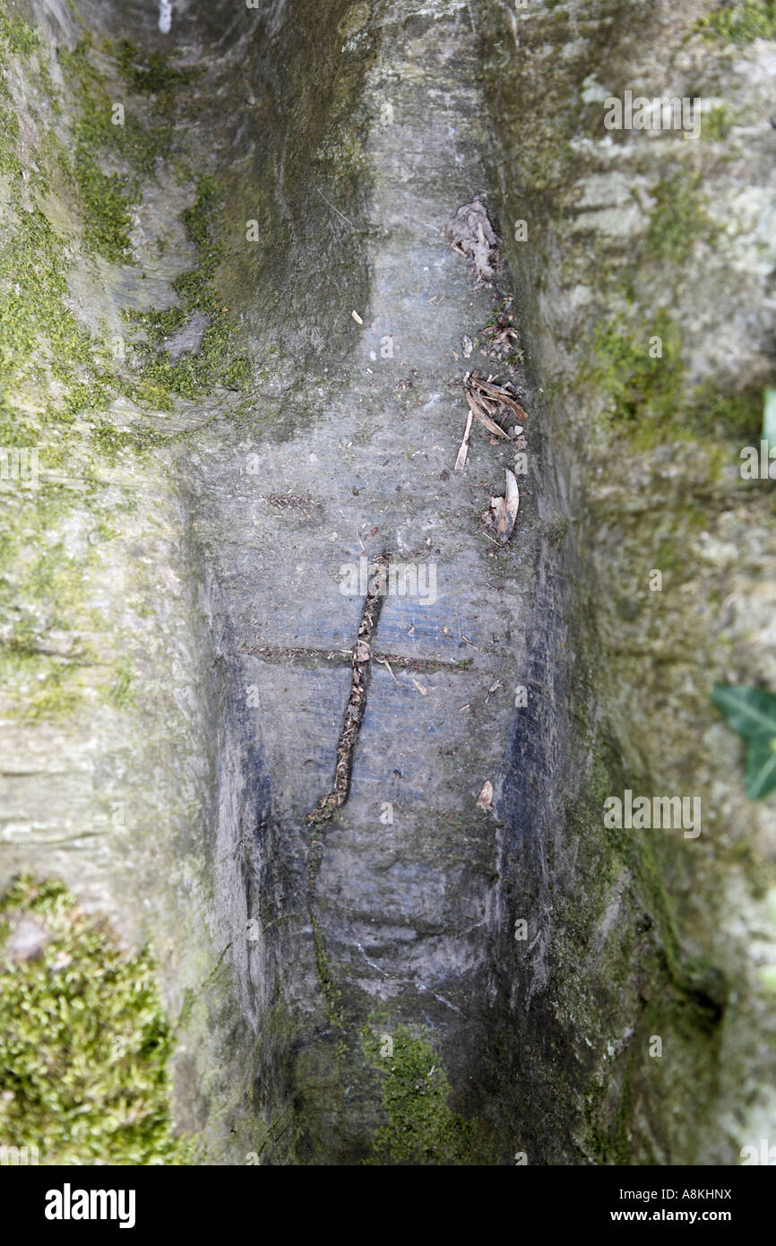 Worn Rock Footstep With Cut Cross On The Pilgrims Way near nevern ...