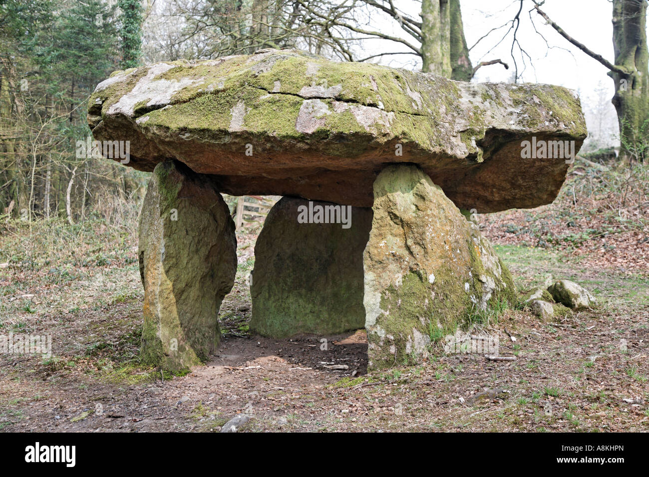 The Cromlech Burial Chamber Dolwilym Carmarthanshire West Wales Britain ...