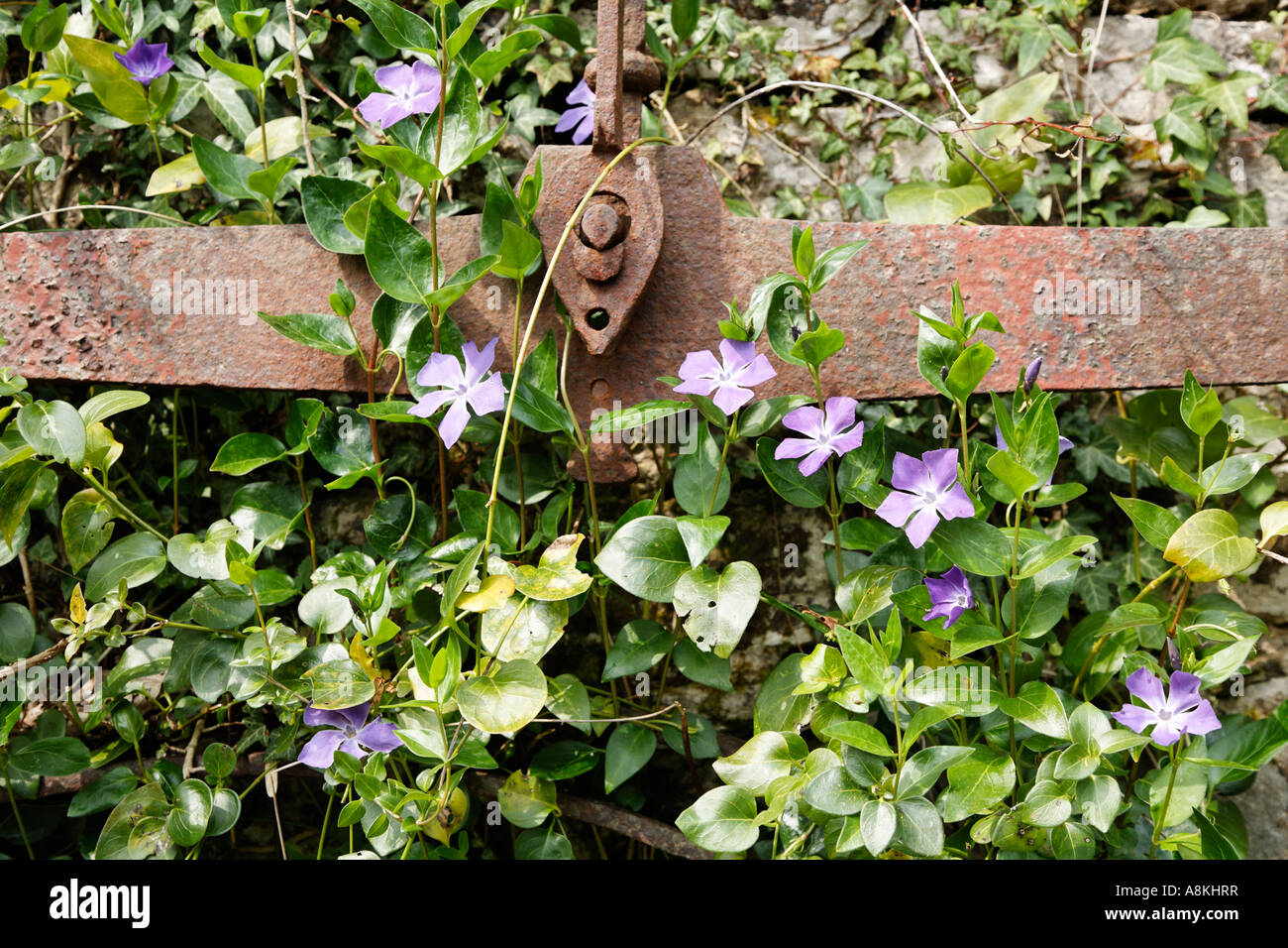 Band saw antique hi-res stock photography and images - Alamy