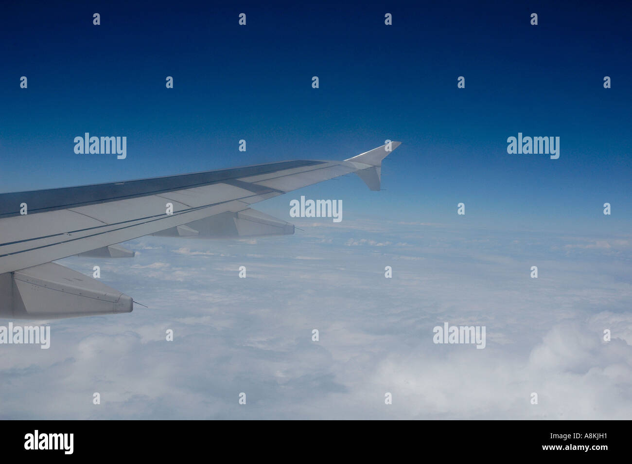 Winglet high up in the sky Stock Photo - Alamy