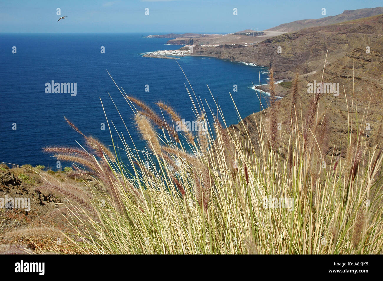 Anden Verde coastline in Gran Canaria island, one of Spain's Canary ...