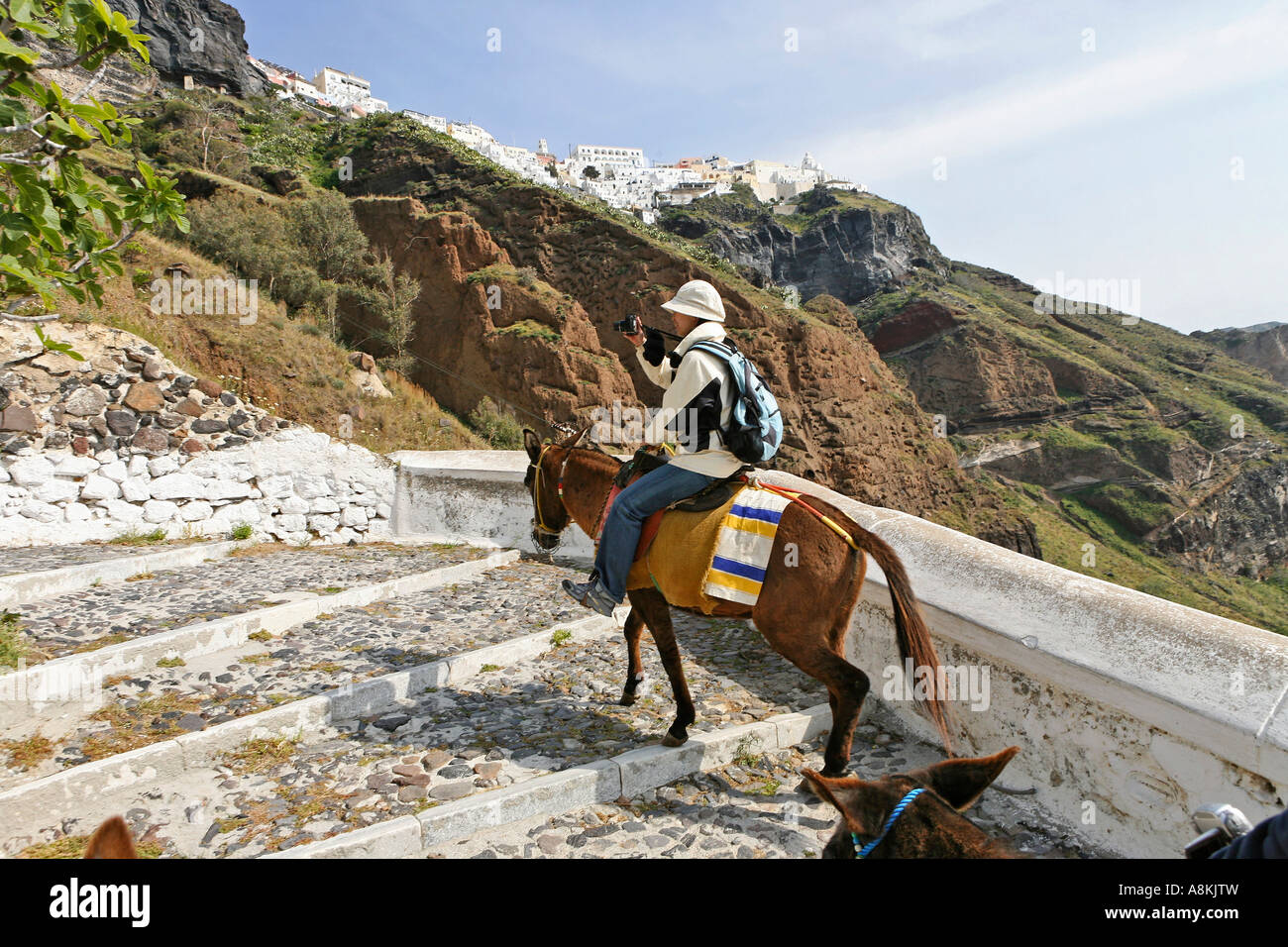 A donkey ride from the old harbour to the town, Thira, Santorini ...