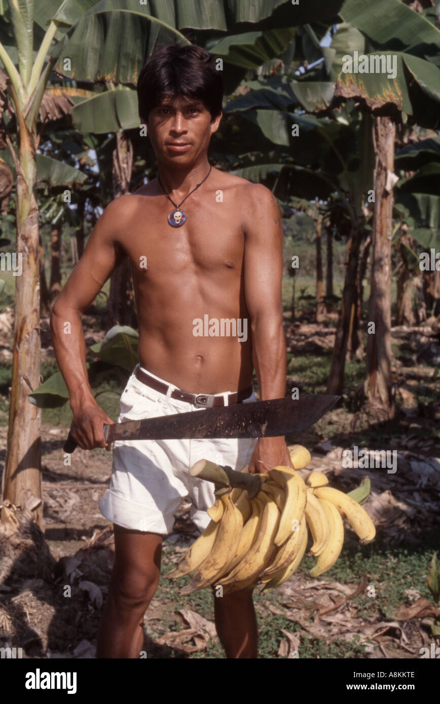 Worker in Banana plantation Costa Rica Stock Photo - Alamy