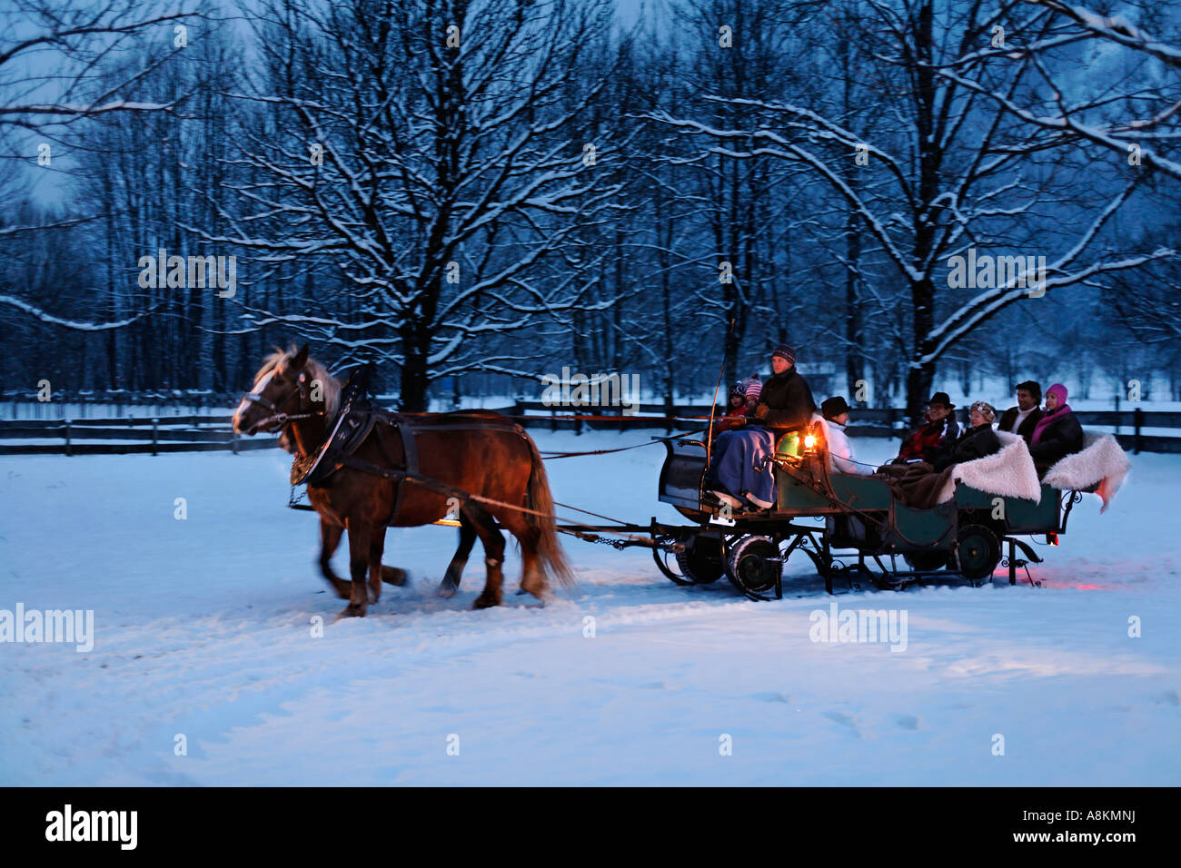 Horse drawn sleigh in Rottach-Egern, Upper Bavaria, Germany Stock Photo ...