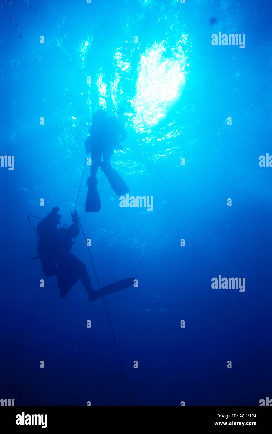 Two Scuba divers underwater in a vast blue expanse submerging down an ...