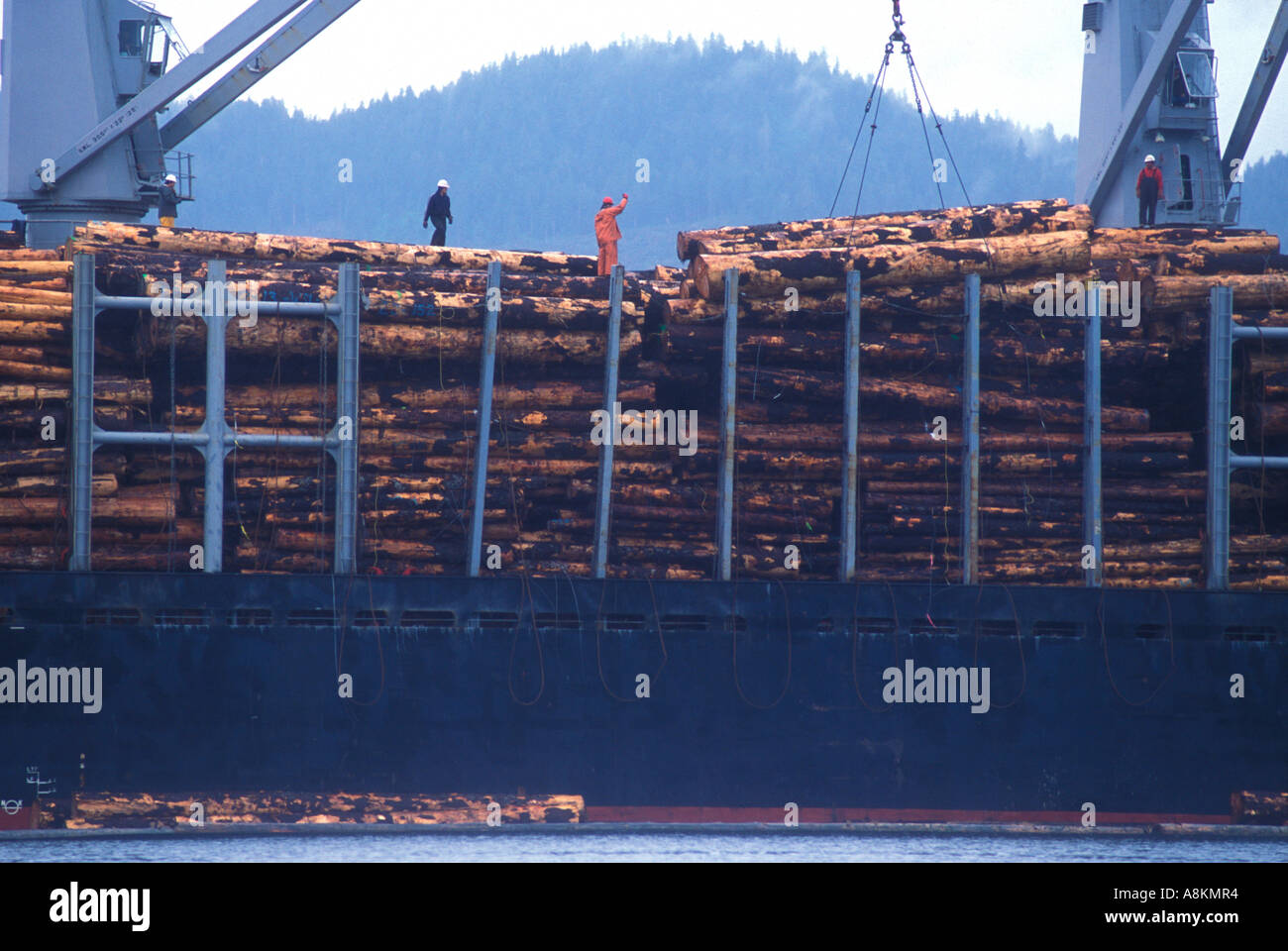 A large trawler steel ship carrying raw timbers logged in the Inside ...