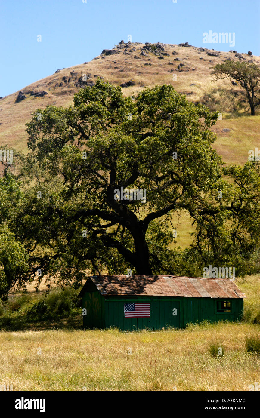 Old green barn with American flag under a California Oak tree Stock ...