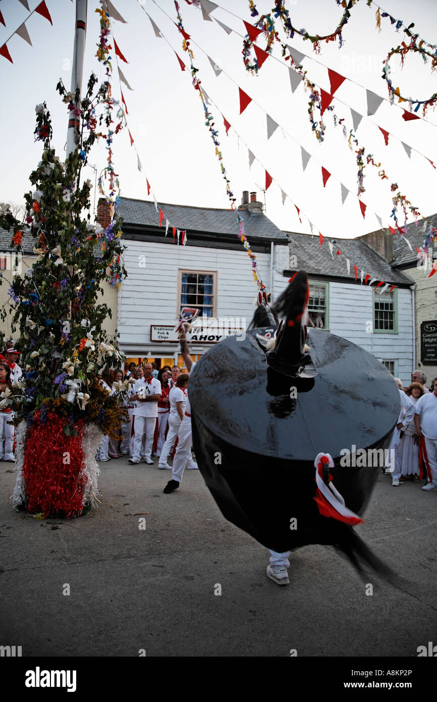 The Oss By The Maypole At The Obby Oss Mayday Celebrations Padstow ...