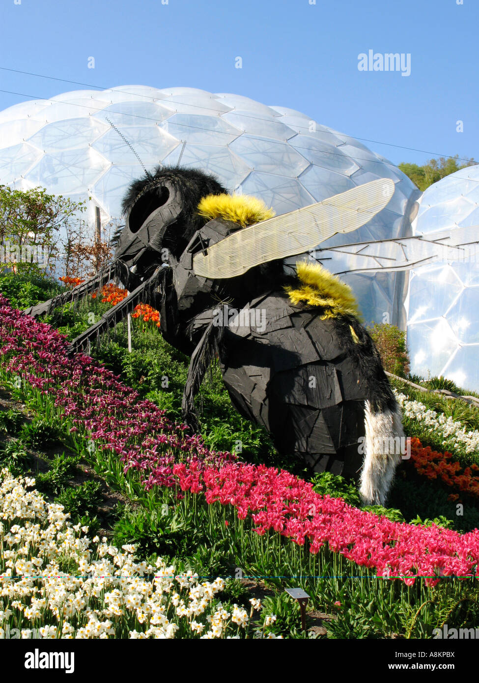 Giant Bee Sculpture at The Eden Project Cornwall England UK Stock Photo ...