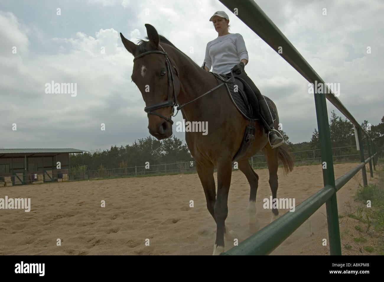 Horse in arena hi-res stock photography and images - Alamy