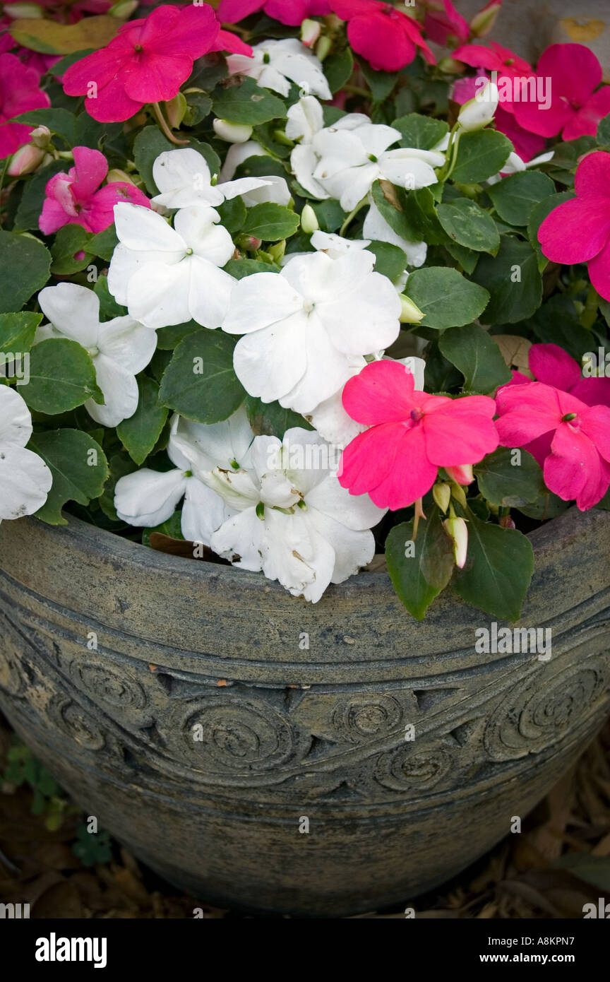 Flowers in planter Stock Photo - Alamy