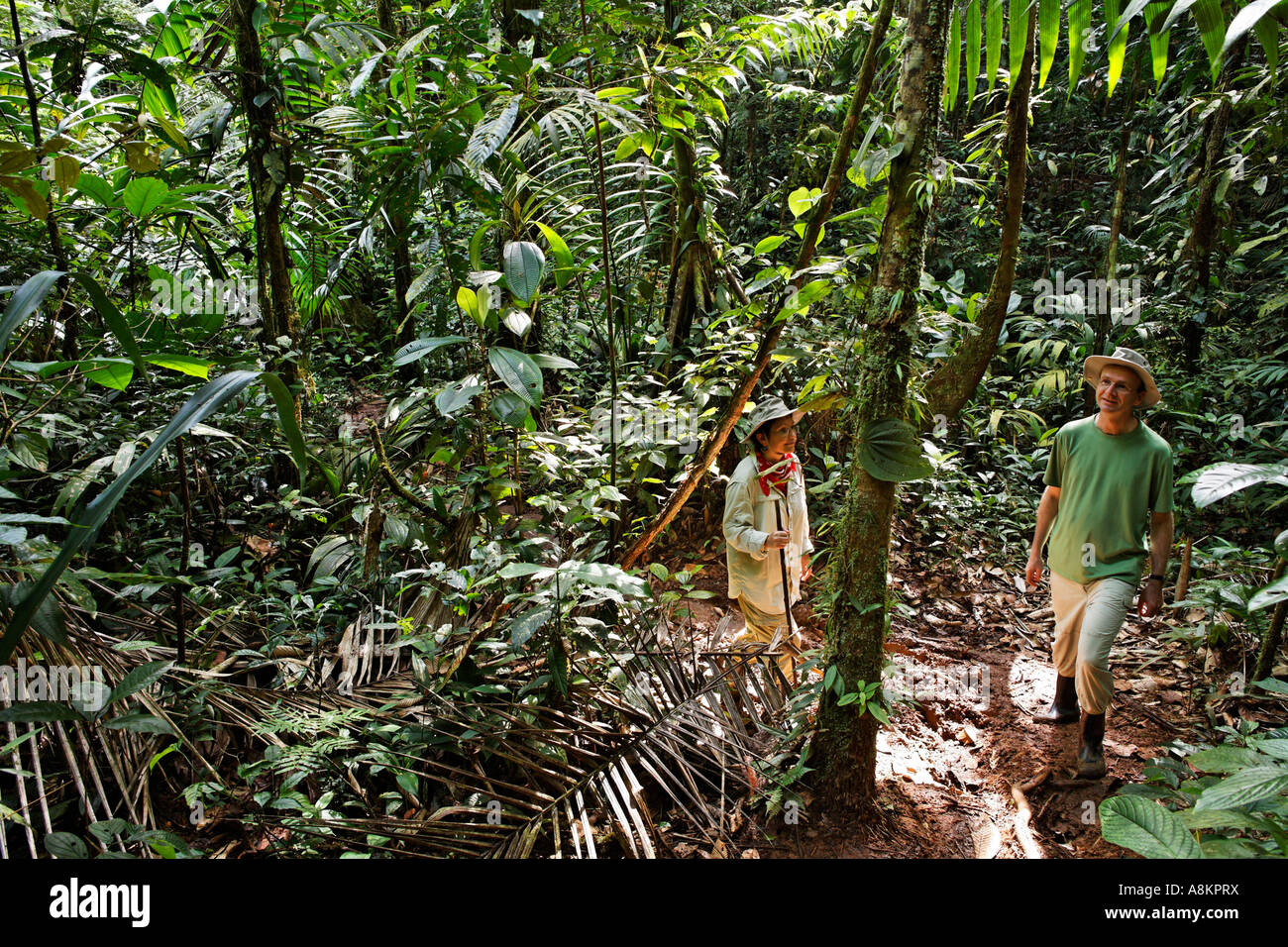 Touristen im regenwald hi-res stock photography and images - Alamy