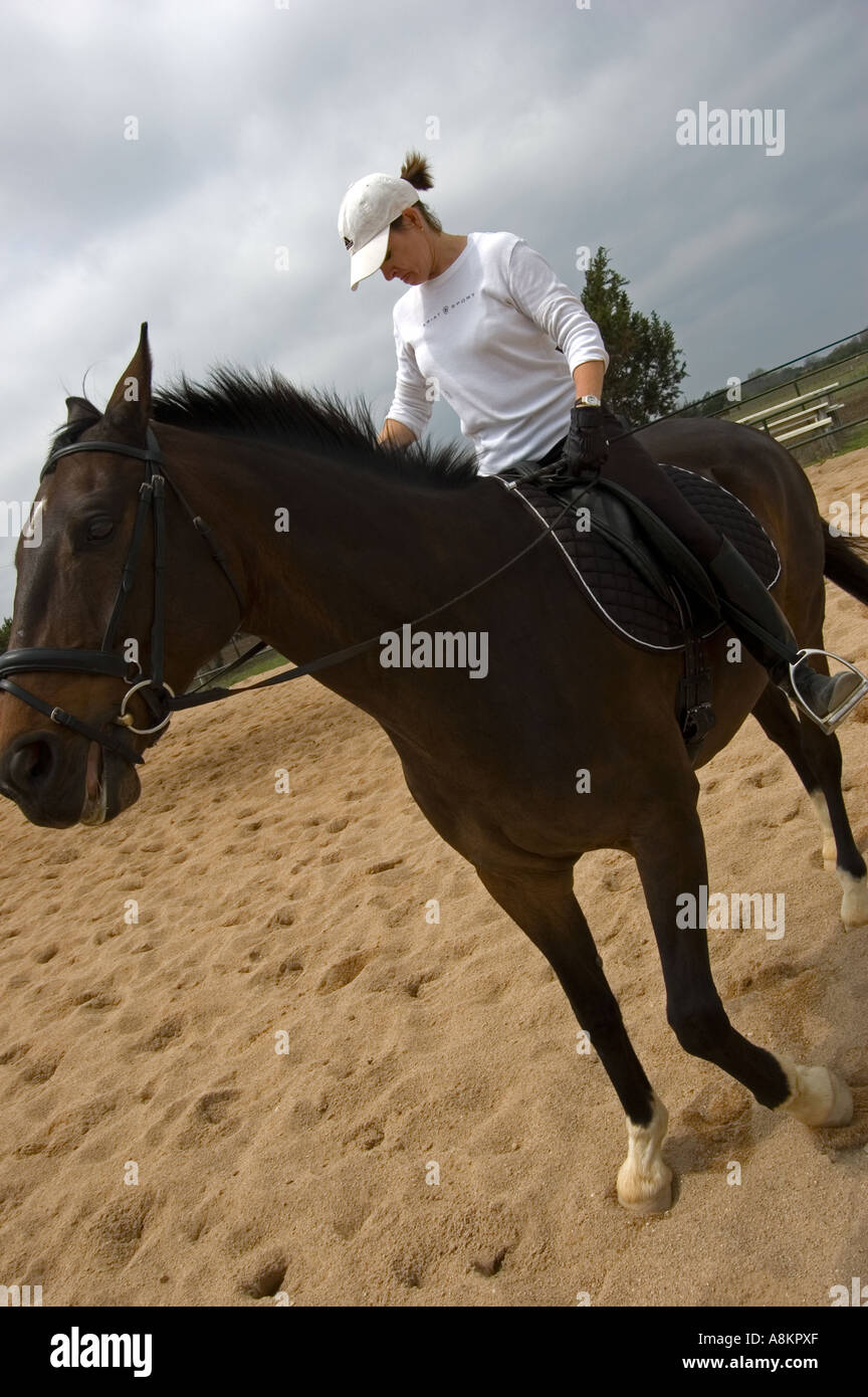 Woman riding horse in sandy arena Stock Photo - Alamy