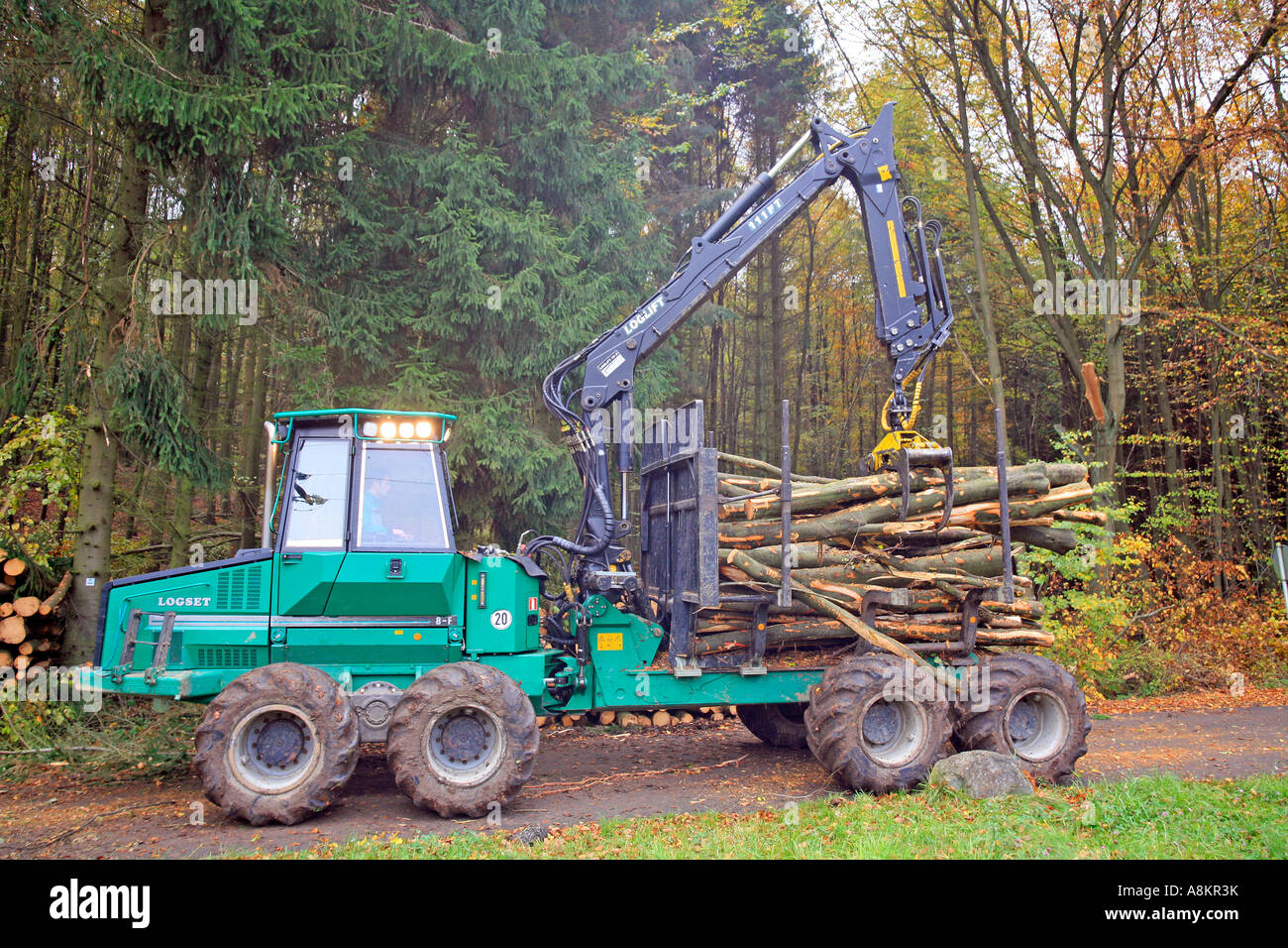 Wood getting loaded on transport vehicle Stock Photo - Alamy