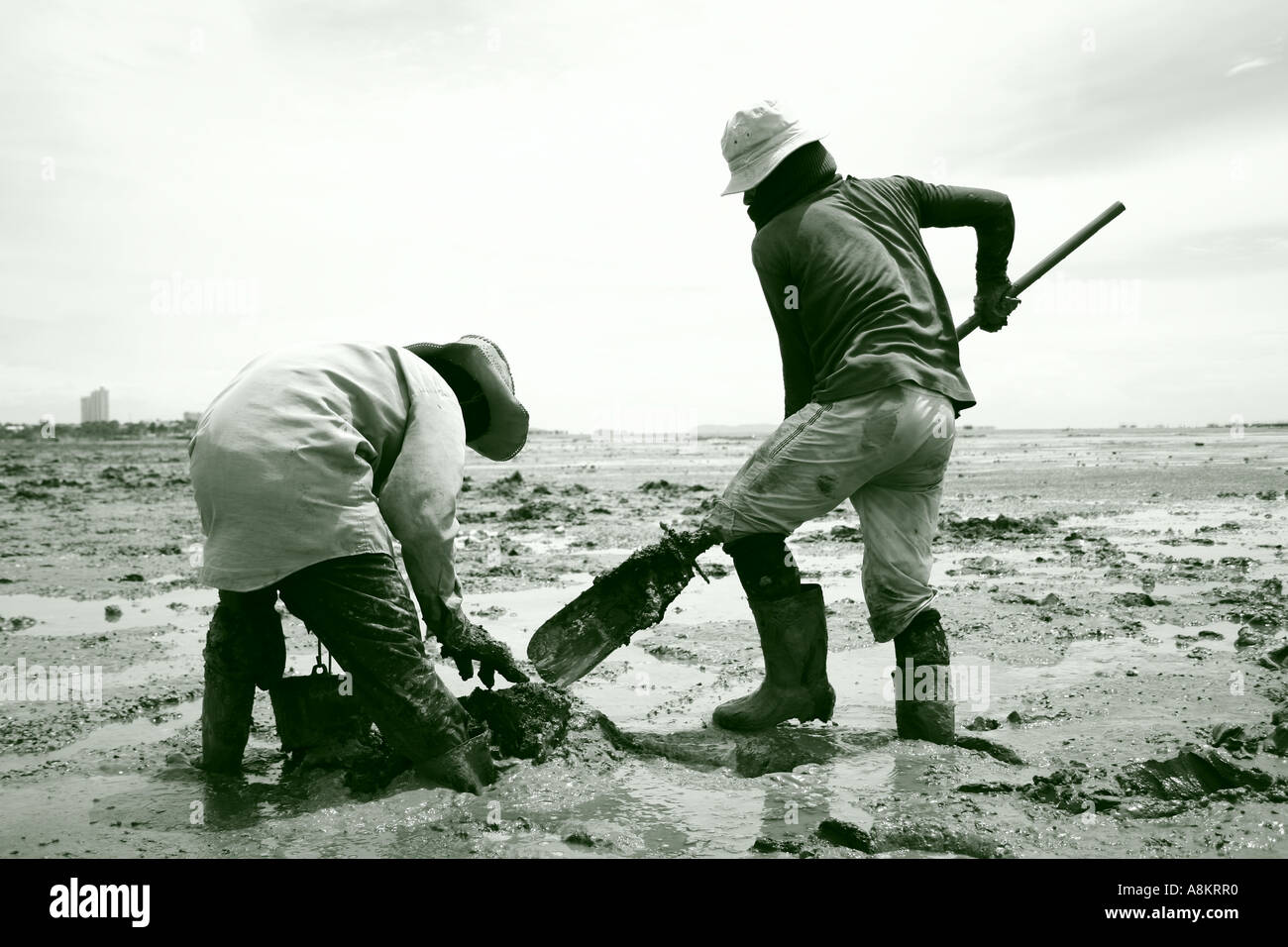 Dig men working digging dig beach mud hi-res stock photography and ...