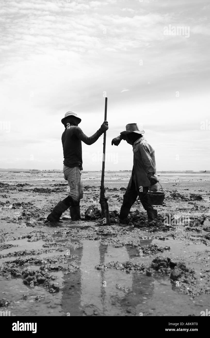 Bait diggers hi-res stock photography and images - Alamy