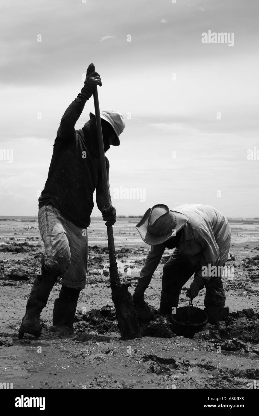 Dig men working digging dig beach mud hi-res stock photography and ...