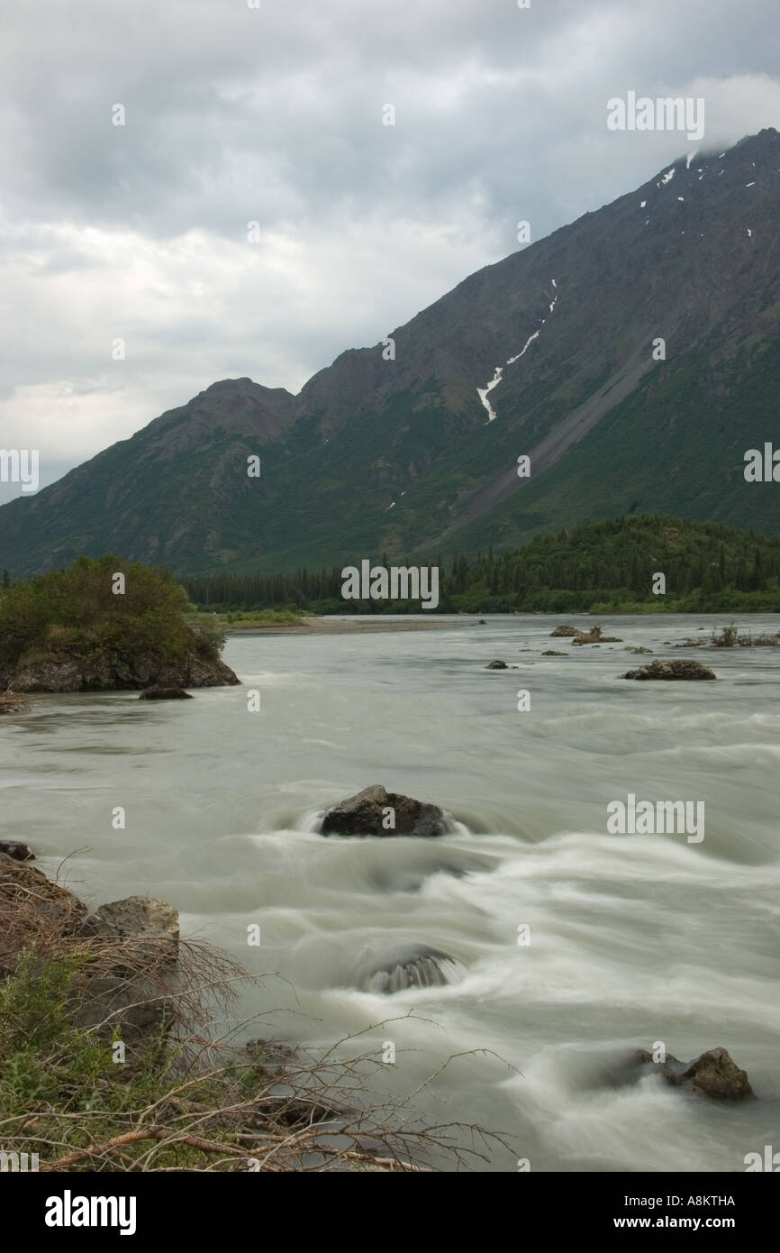 Alaska summer birch forest hi-res stock photography and images - Alamy