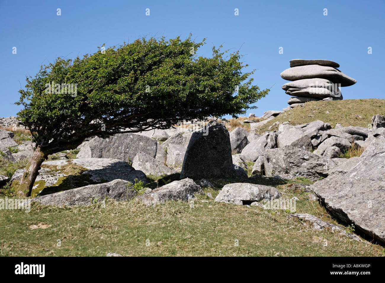The Cheesewring Stone Circles Bodmin Moor Cornwall England Britain UK ...