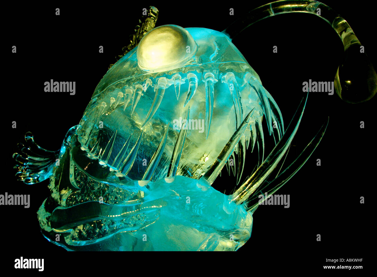 Fantastic deepwater fish, frozen Stock Photo - Alamy