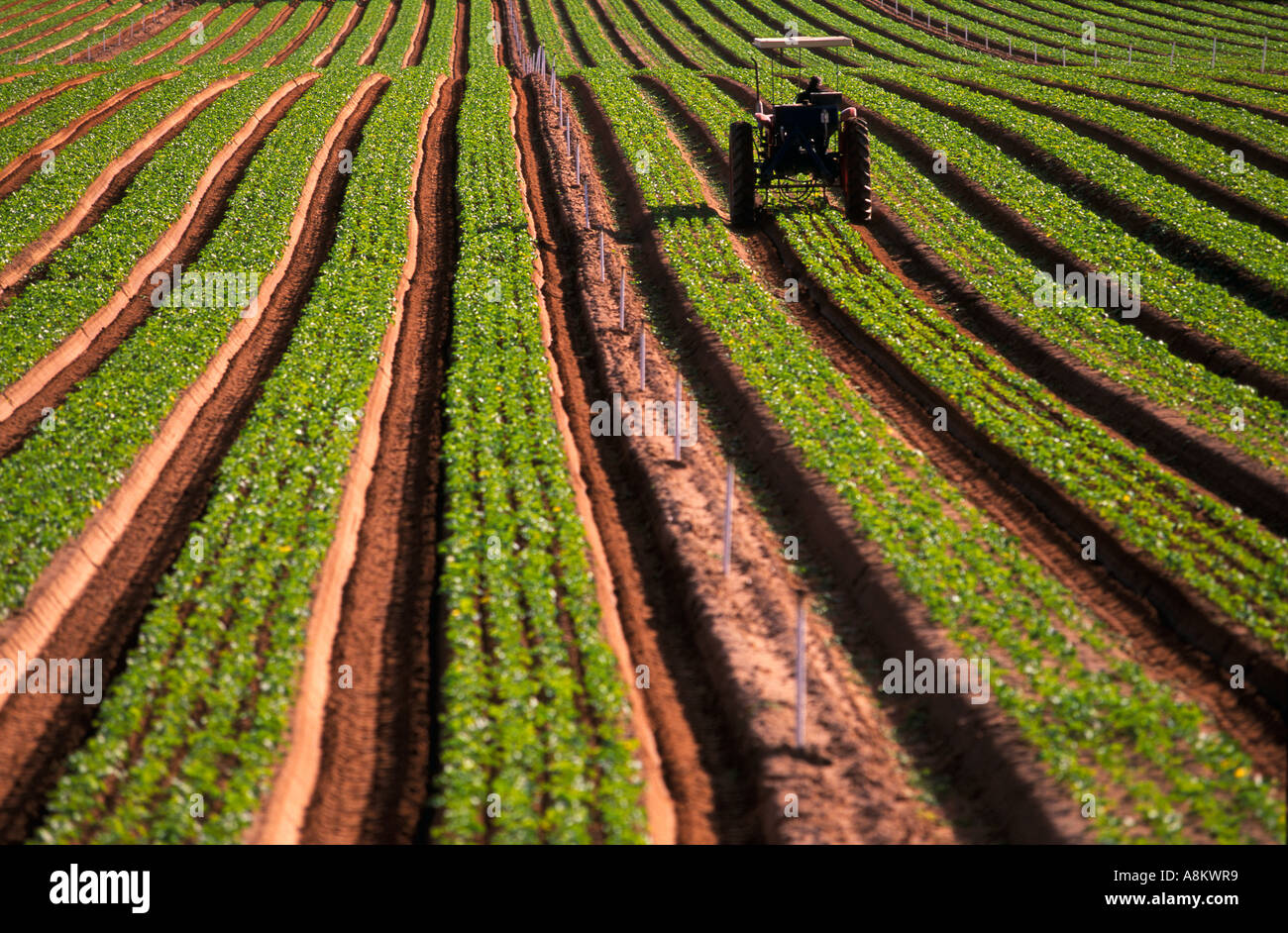 Tractor australia hi-res stock photography and images - Alamy