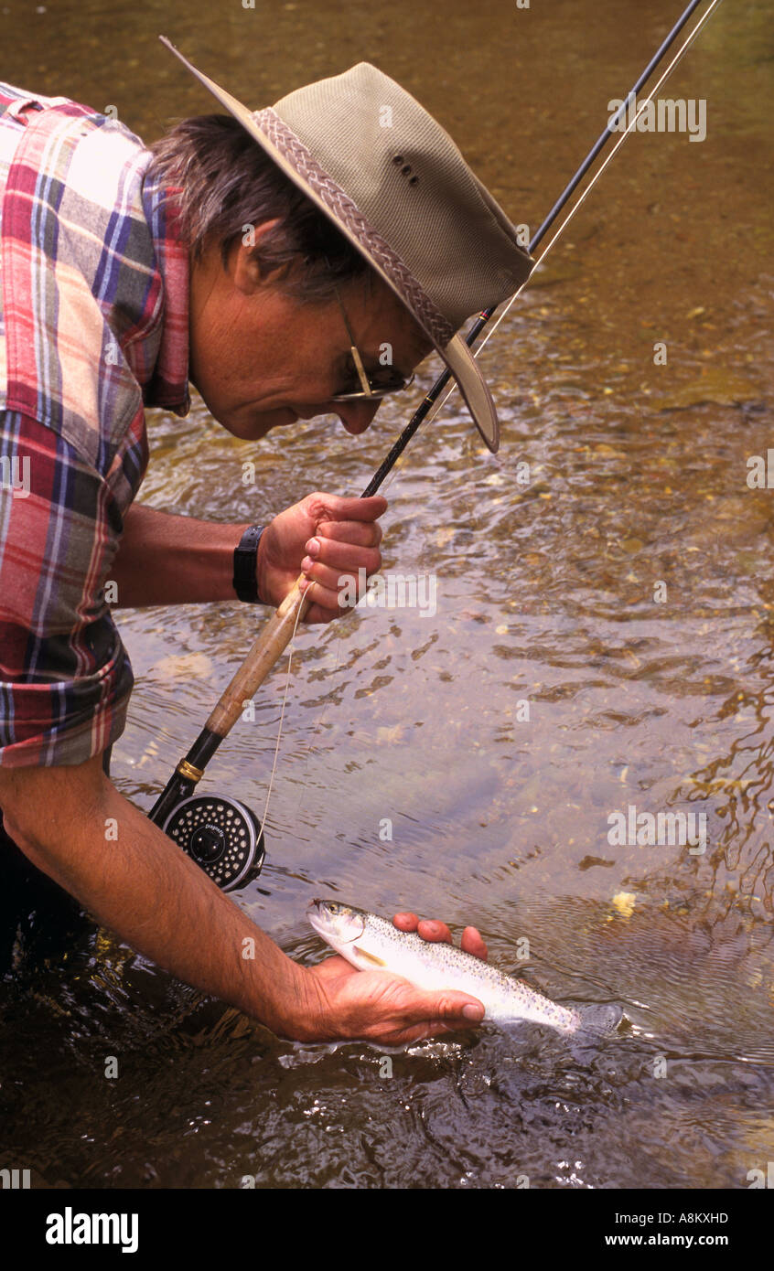 Landing a rainbow trout, Howqua River, , , NE Victoria, Australia ...