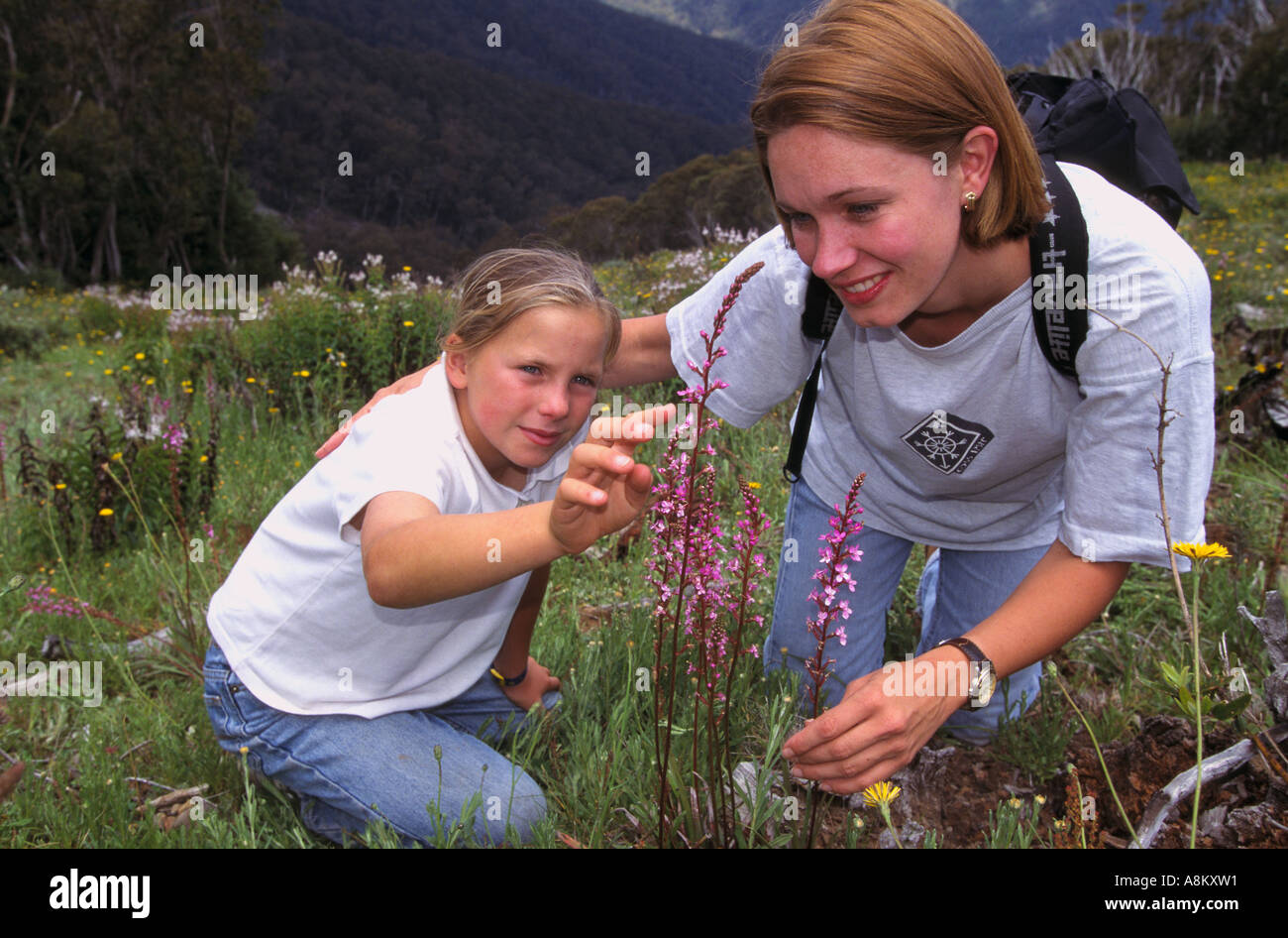 Family Bushwalking Australia High Resolution Stock Photography and ...