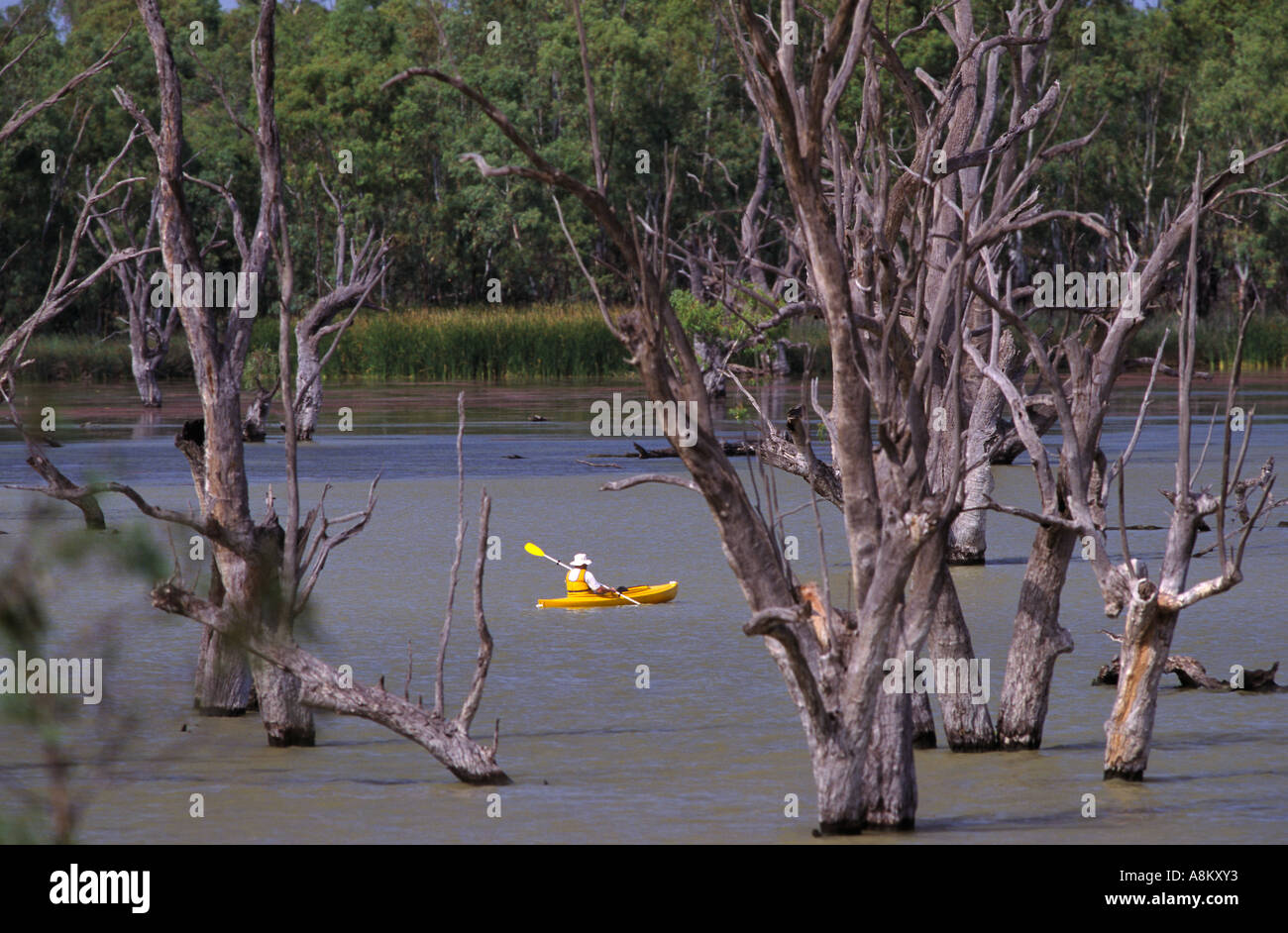 Riverland biosphere australia hi-res stock photography and images - Alamy