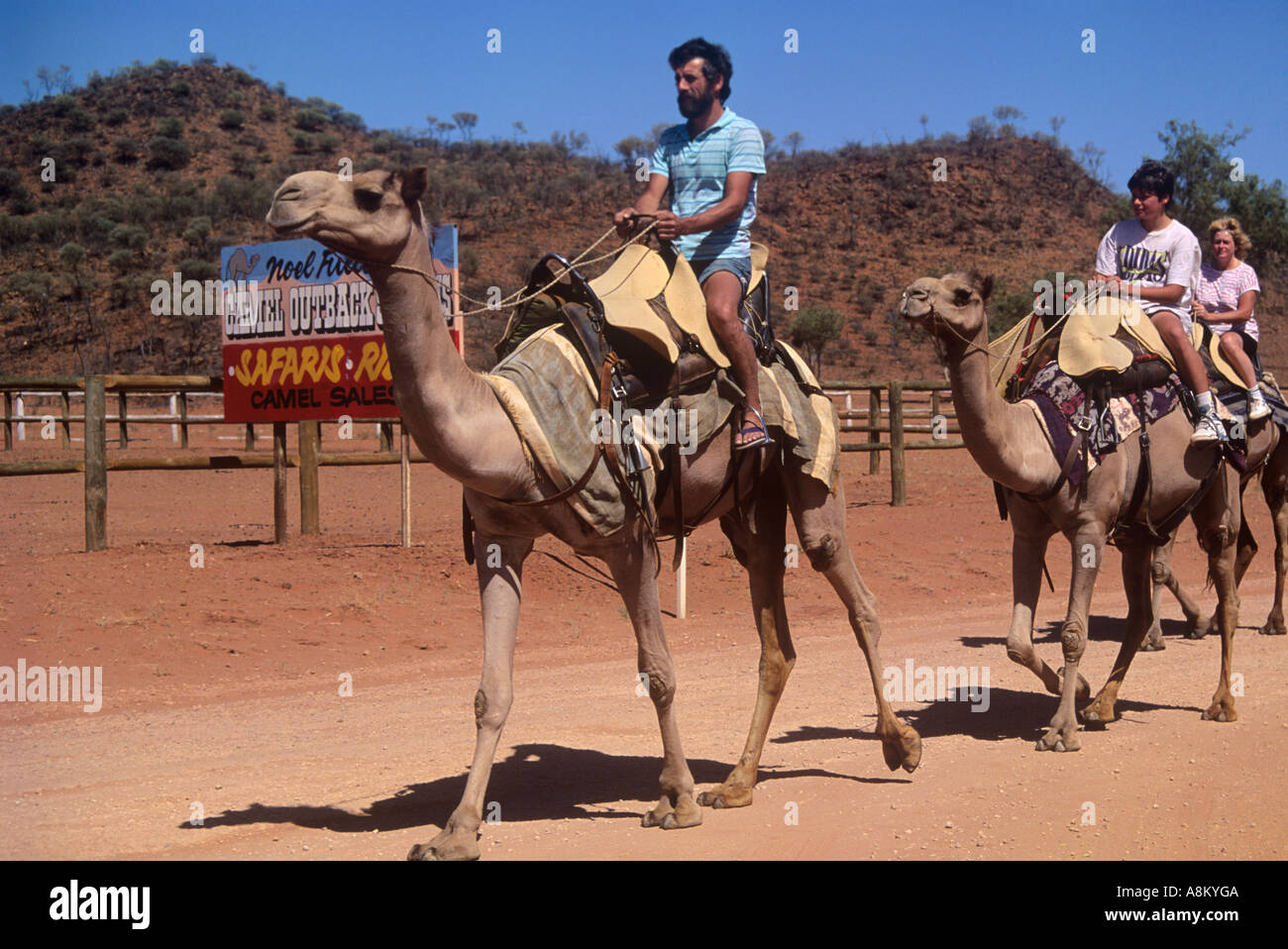 Camel ride in Alice Springs, central Australia Stock Photo - Alamy