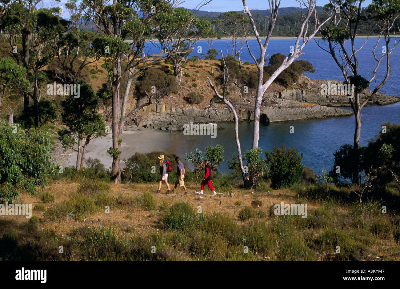 Hyatts Beach and Lagoon Bay near Dunalley Forestier Peninsula SE ...