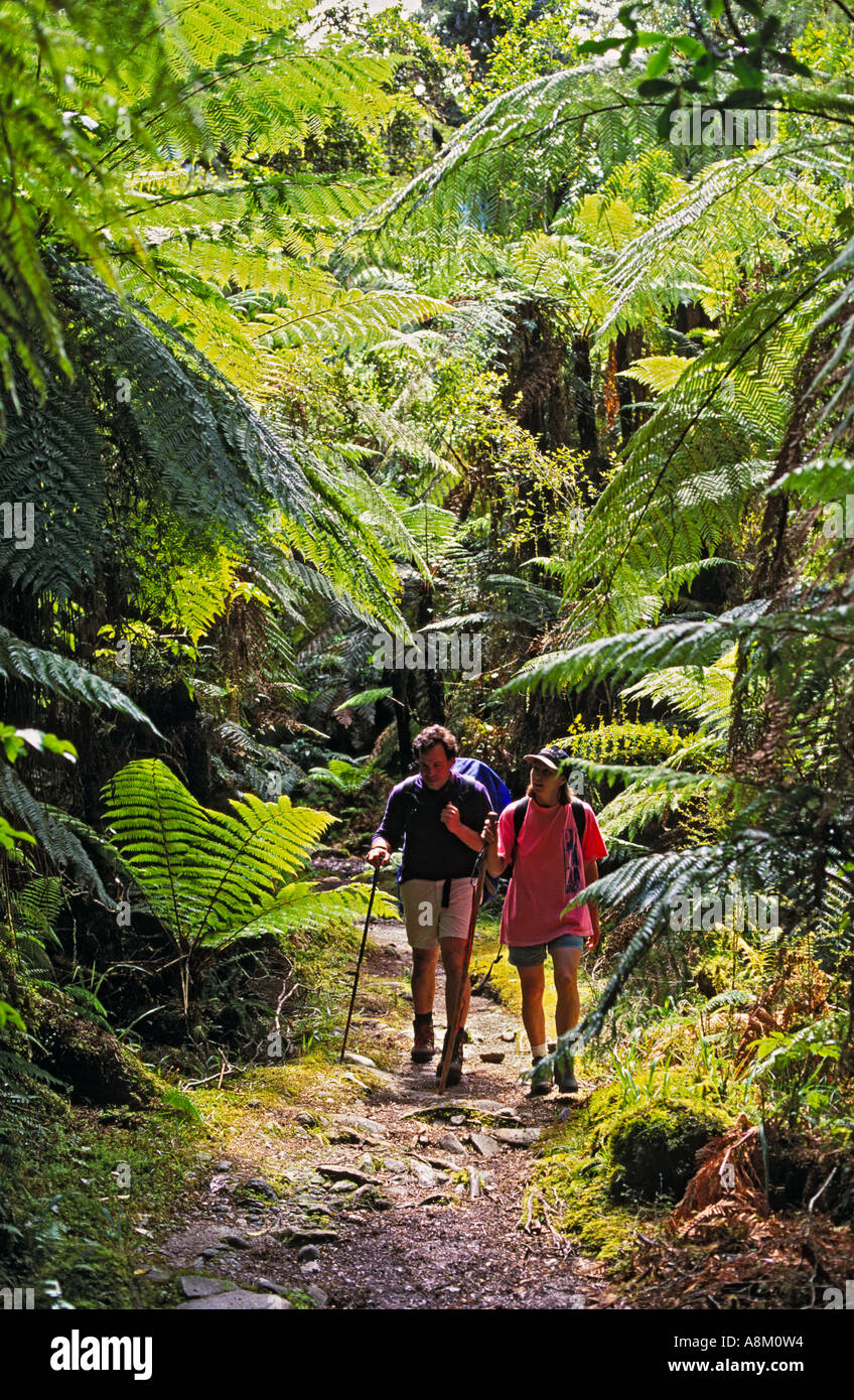 Milford Track Fiordland National Park Milford Sound South Island New ...