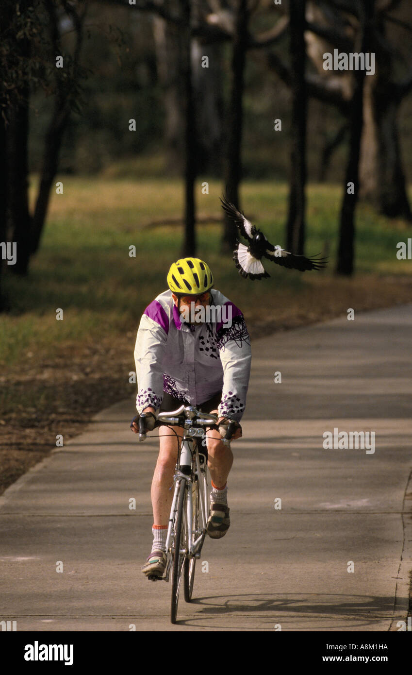 Angry cyclist hi-res stock photography and images - Alamy
