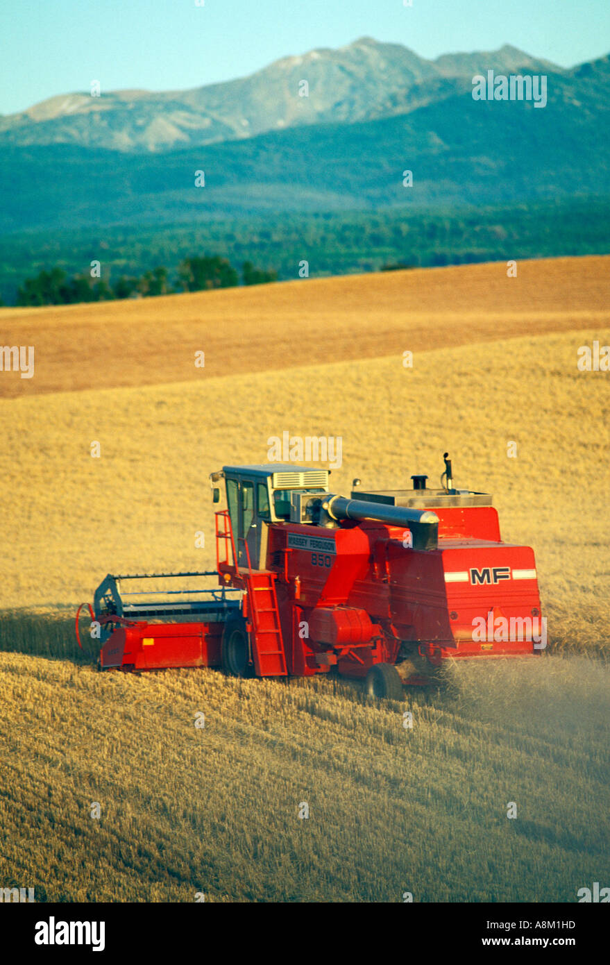 USA IDAHO Red combine in wheat field with Teton Mountains in the ...