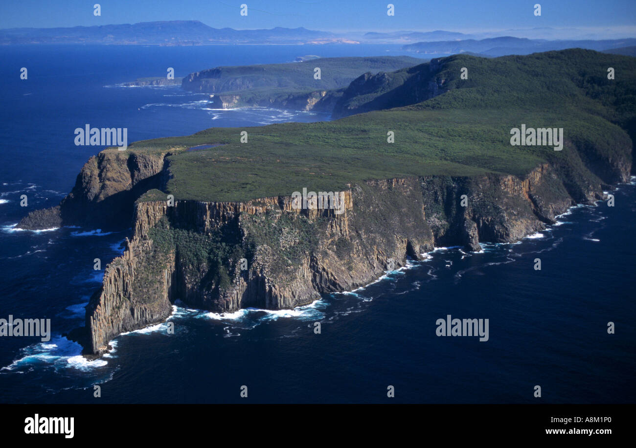 Dolerite organ pipe sea cliffs at Cape Raoul Tasman Peninsula National ...