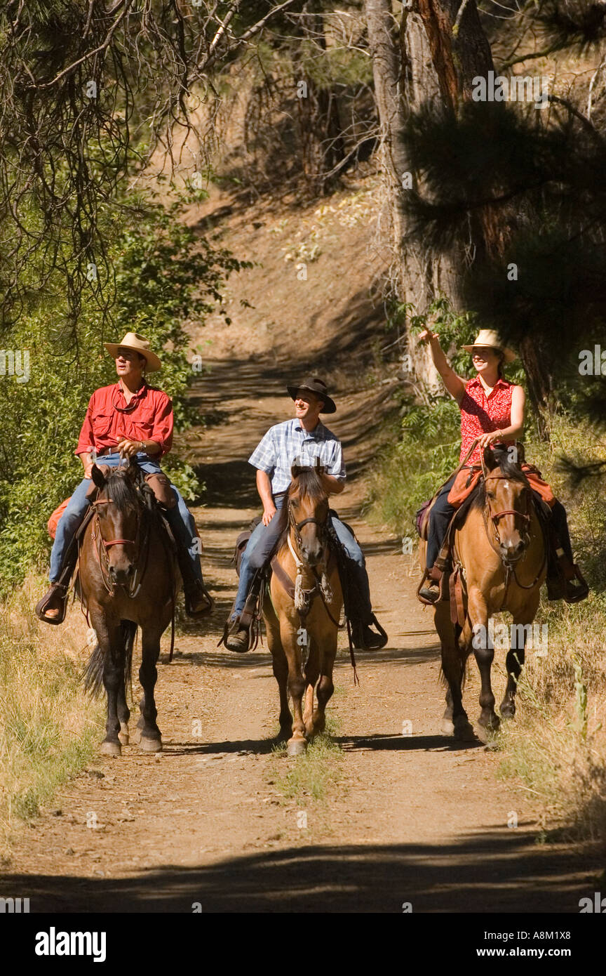 IDAHO INDIAN CREEK GUEST RANCH Guests riding horseback on forest trail ...