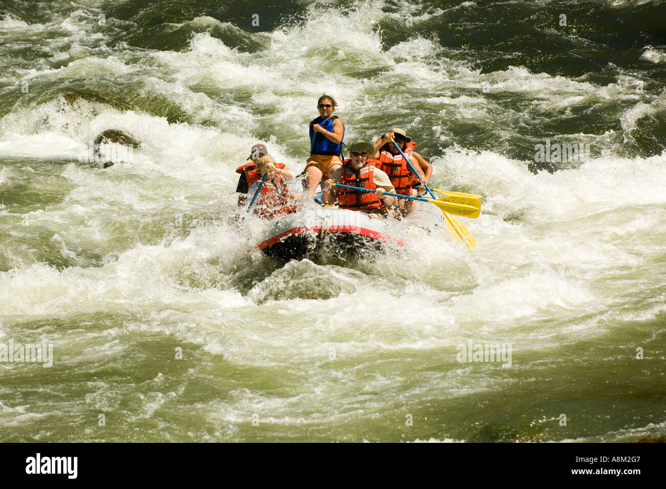 IDAHO MAIN SALMON RIVER Whitewater rafting through fast moving rapids ...