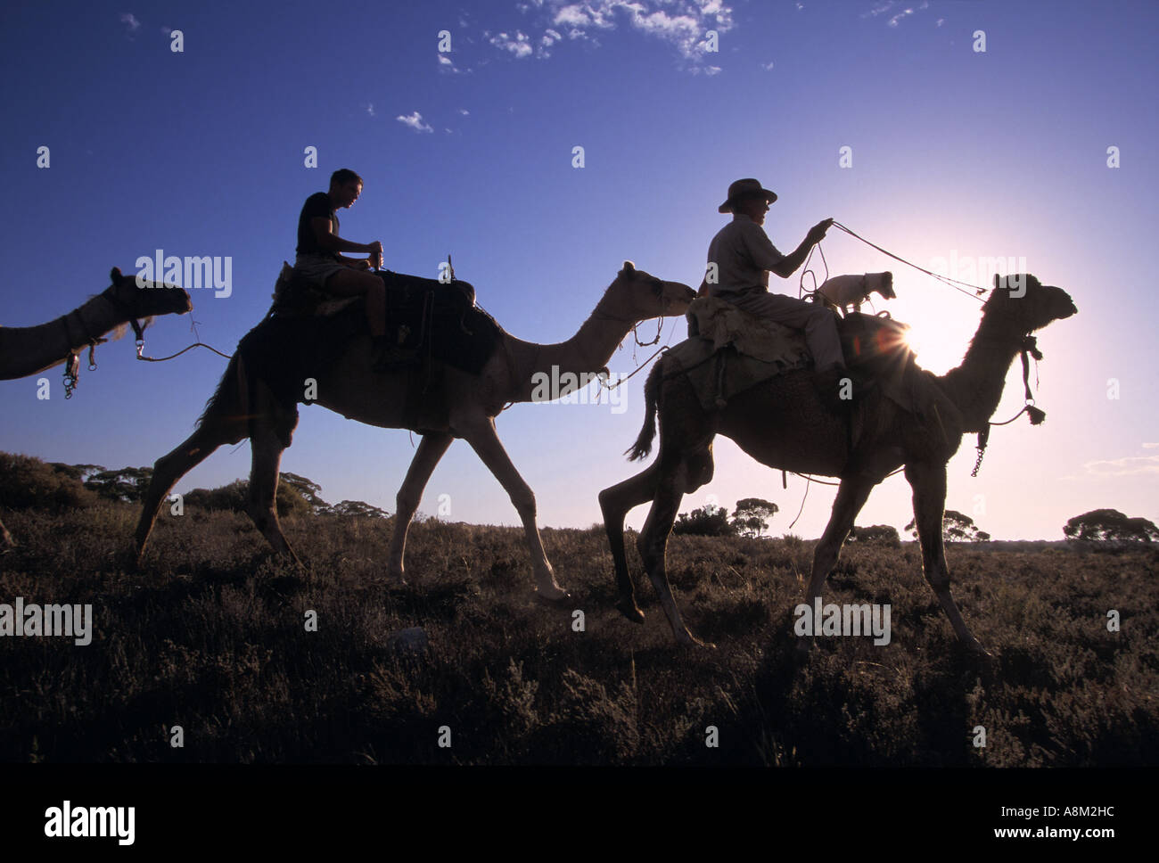 Riding camel at australia hi-res stock photography and images - Alamy