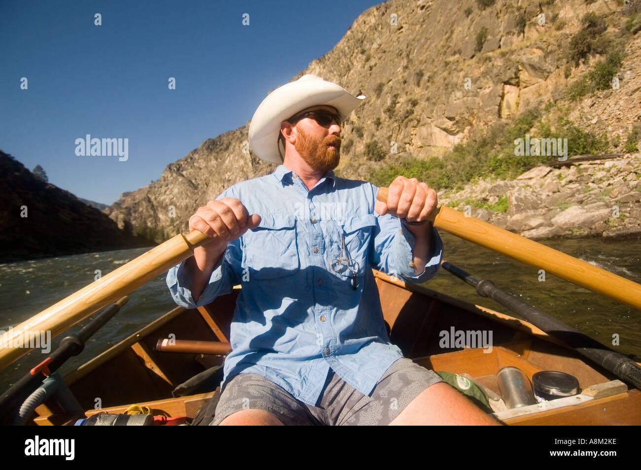 Oars pulling at the water hi-res stock photography and images - Alamy