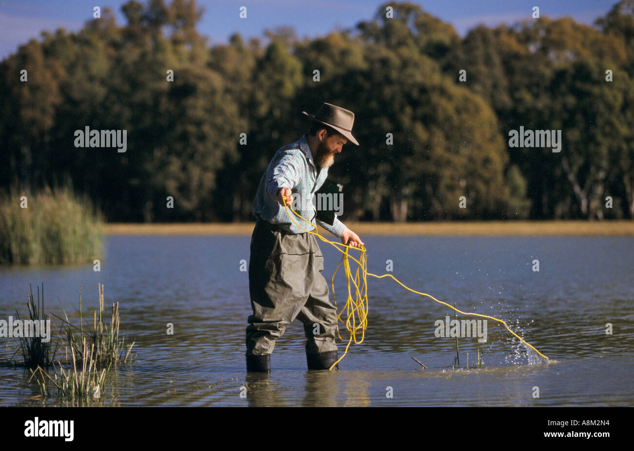 Ecologist surveying plants in wetlands Barmah State Park Victoria ...