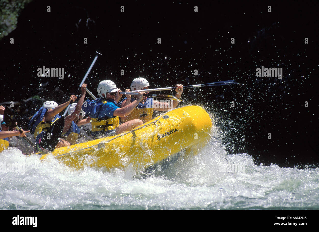 IDAHO SELWAY BITTERROOT WILDERNESS Whitewater Rafting on the Selway ...