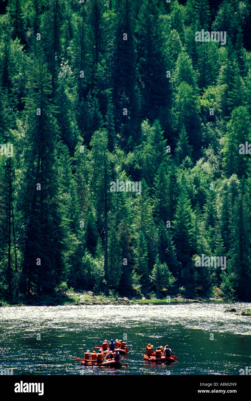IDAHO Rafting on the Lochsa River Clearwater National Forest North ...