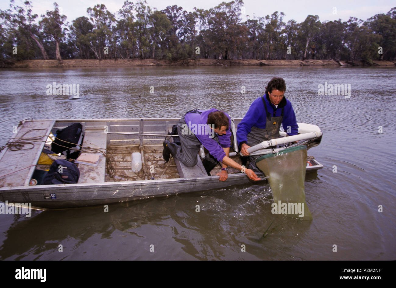 Freshwater ecologists sampling particulate Murray Kulkyne State Park ...