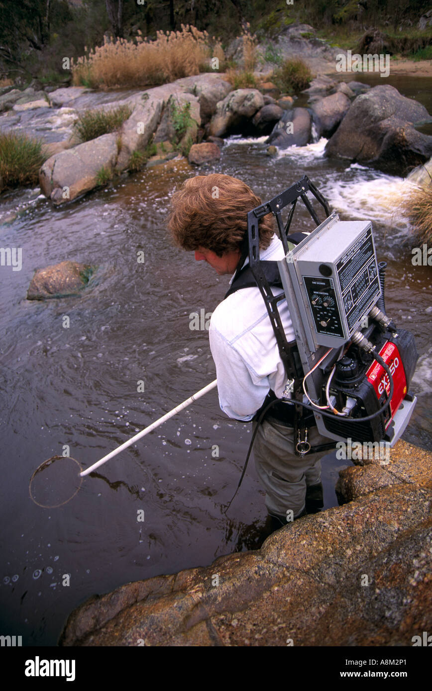 Australian callop hi-res stock photography and images - Alamy