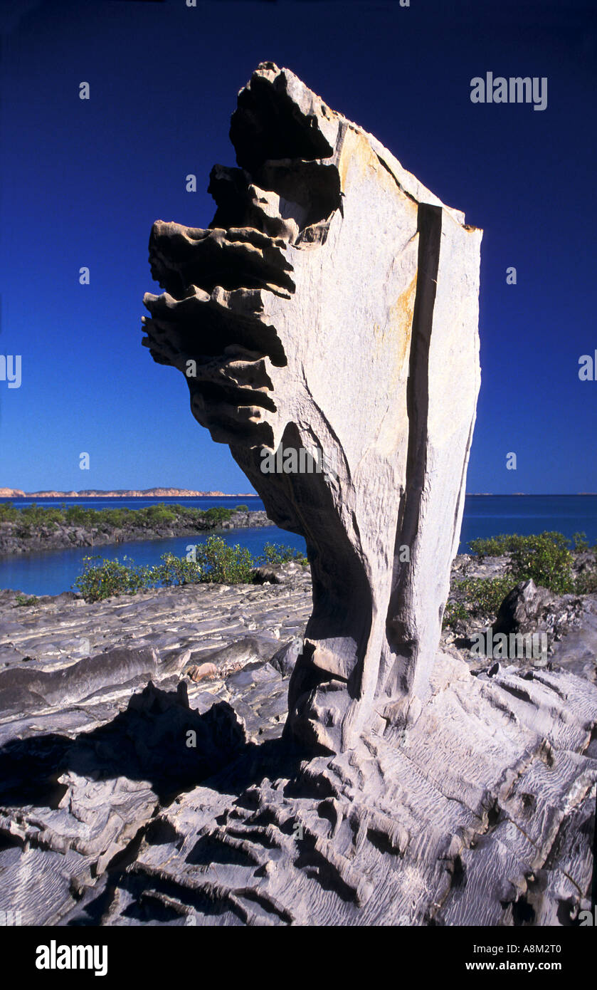 Mud stone formation Edoline Island Buccaneer Archipelago NW Kimberley ...