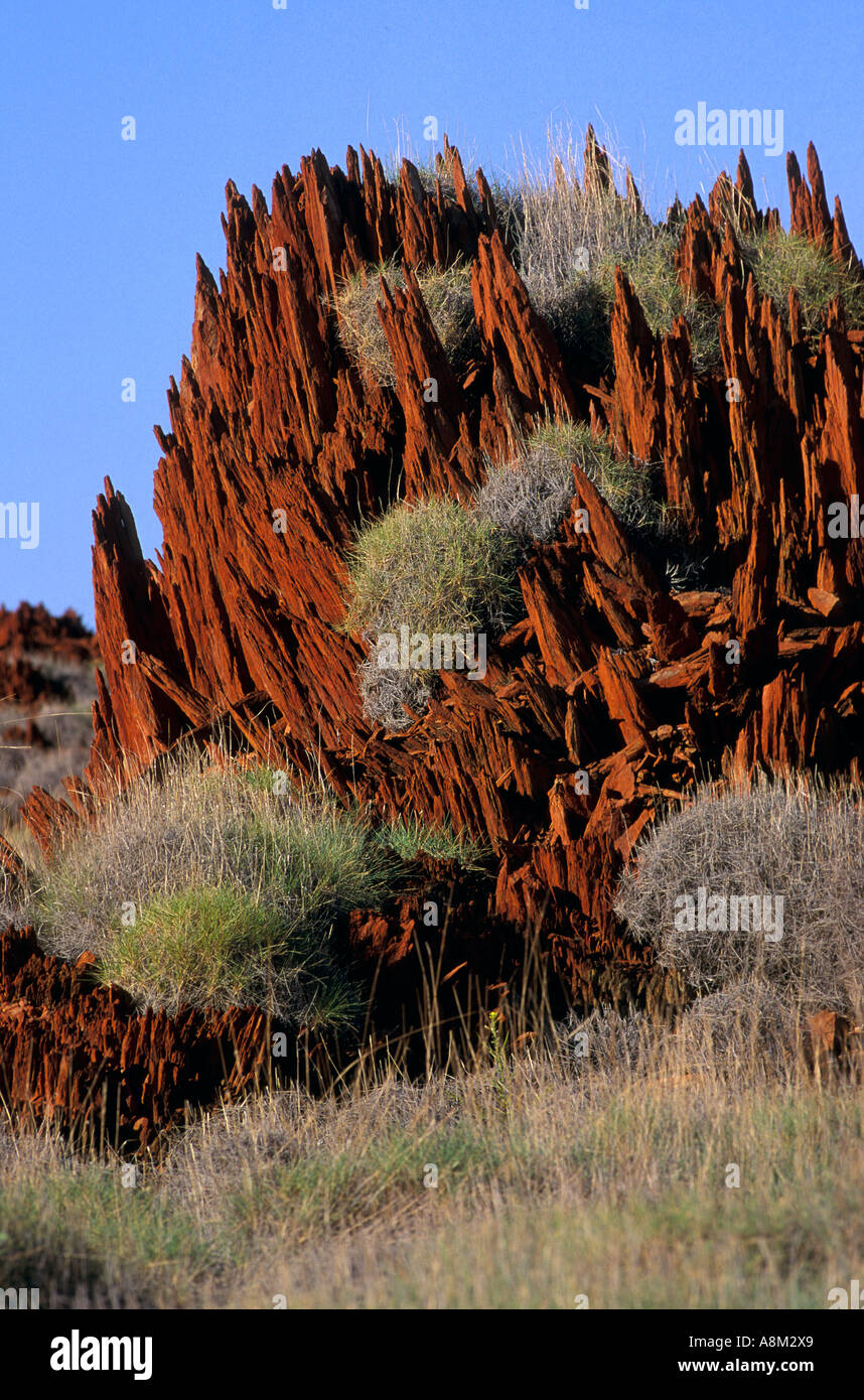 Rock outcrop and spinifex near Marble Bar NW Pilbara Western Australia ...