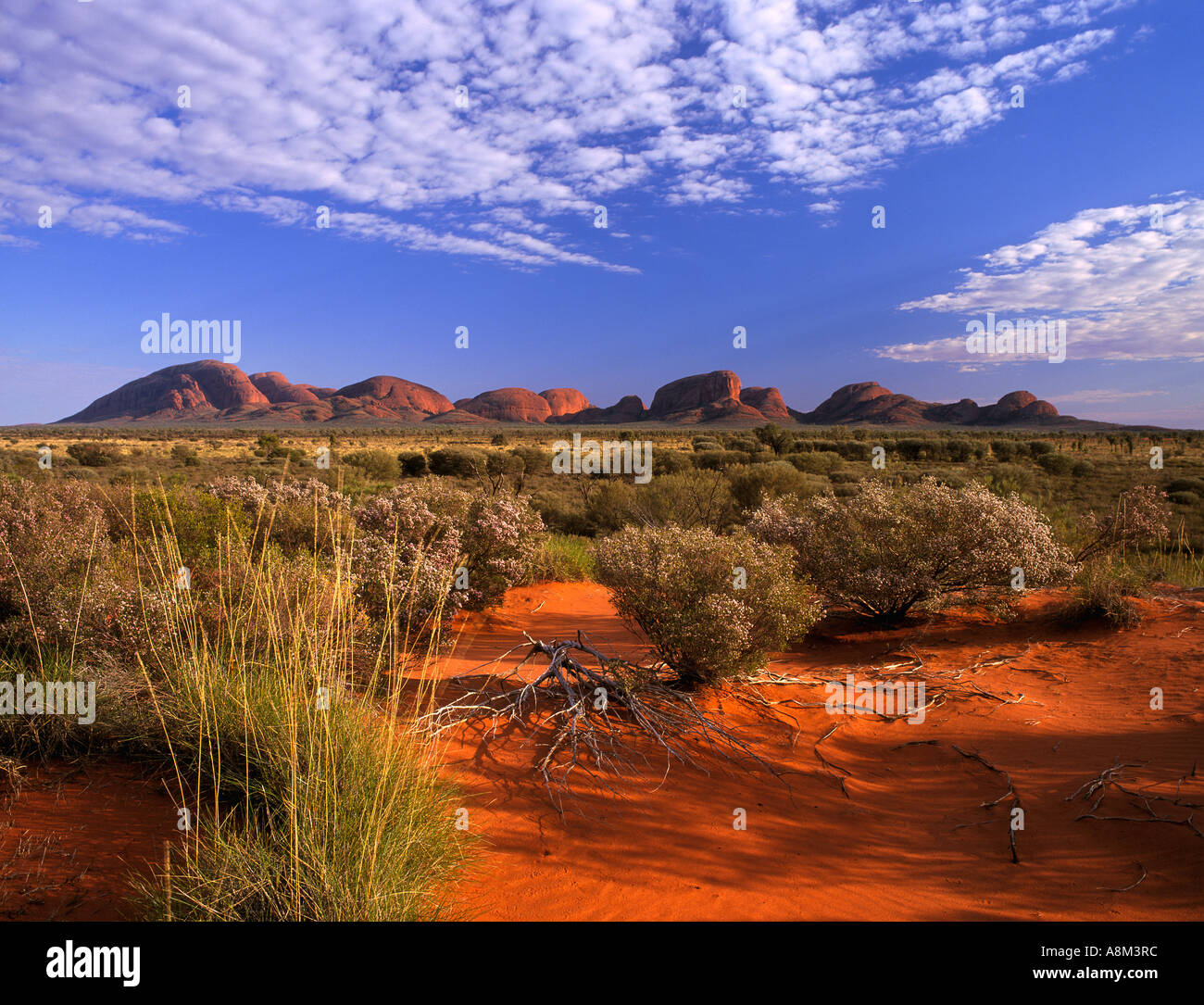 The Olgas Uluru Kata Tjuta National Park Central Australia Northern ...